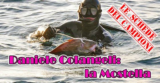 Pesca sub: la mostella by Daniele Colangeli - Apnea Magazine